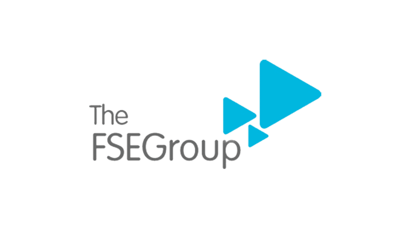 The FSE Group - Tech Cornwall